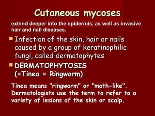 Superficial mycoses | PPT