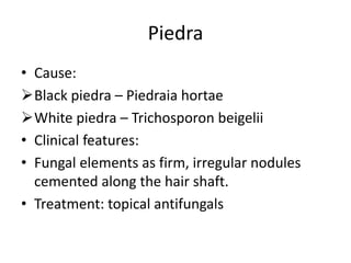Superficial mycoses | PPTX