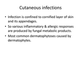 Superficial mycoses | PPTX