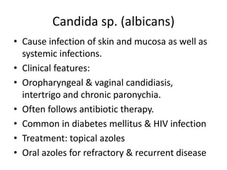 Superficial mycoses | PPT