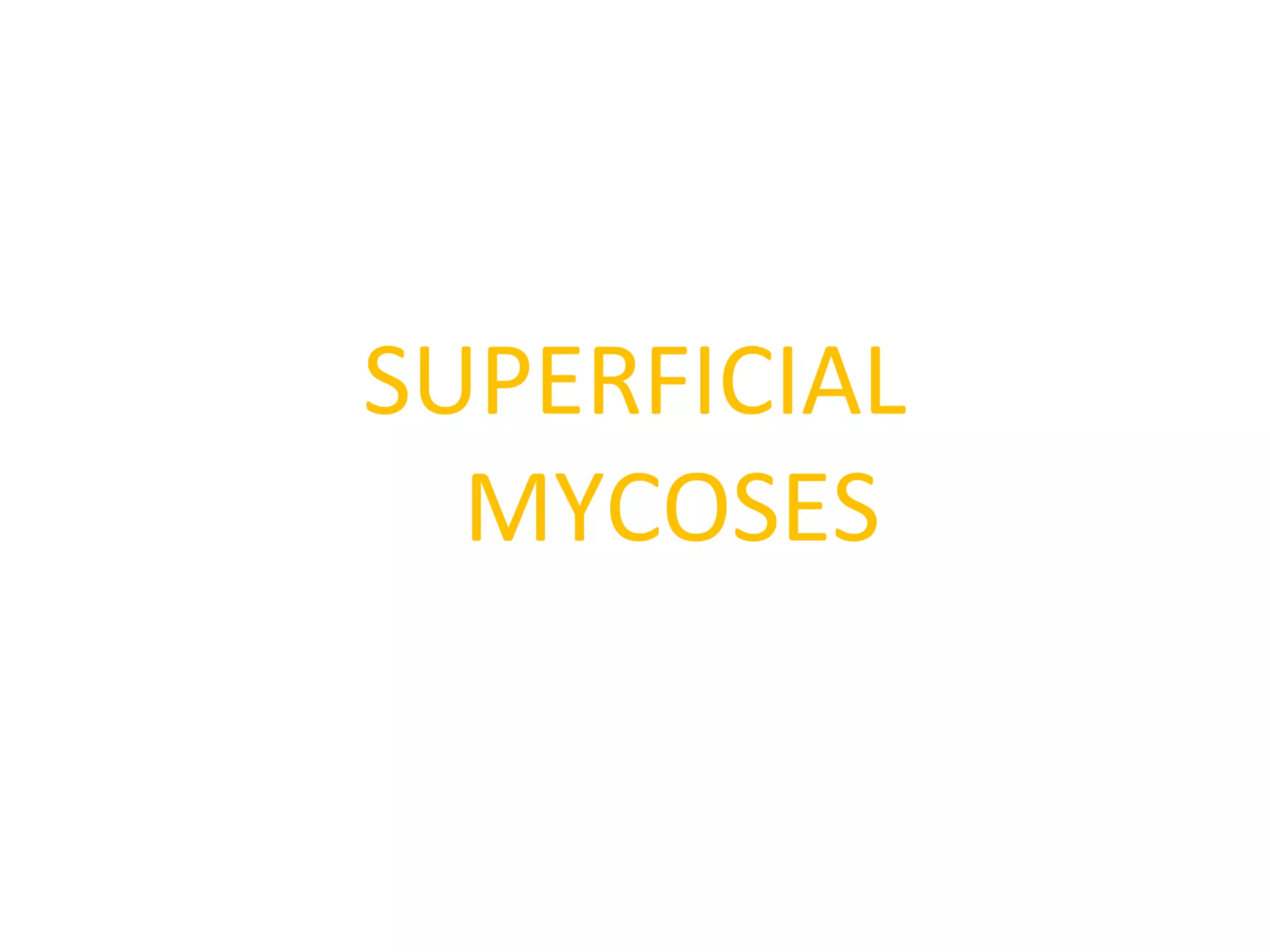Superficial mycoses | PDF