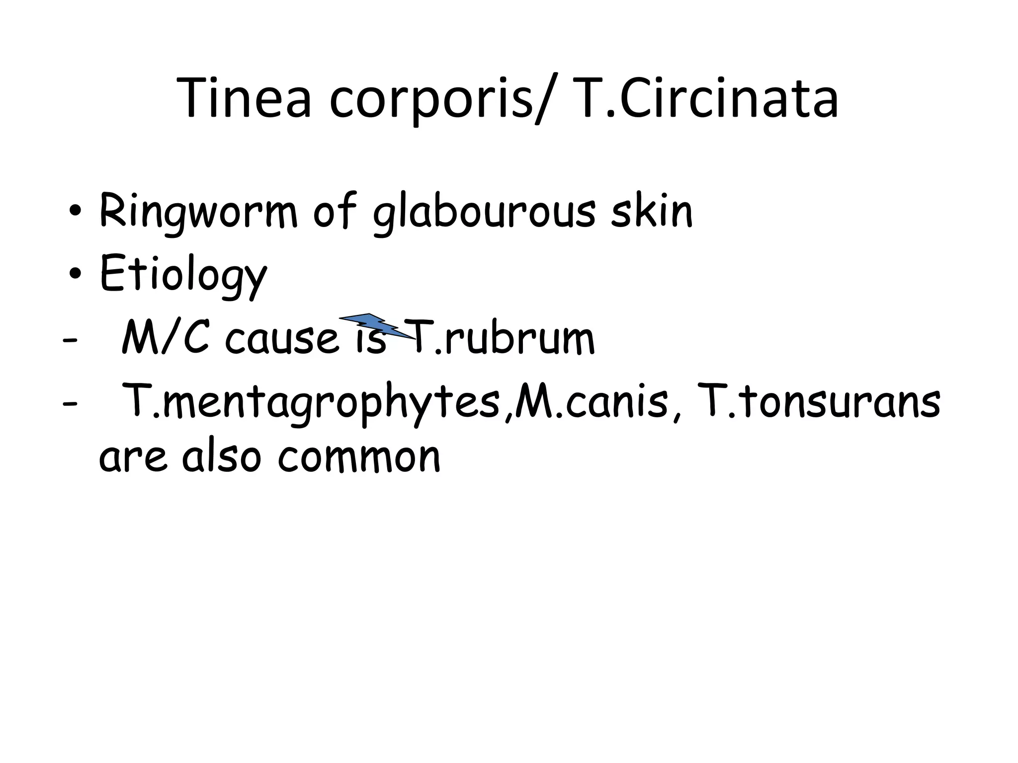 Superficial mycoses | PDF