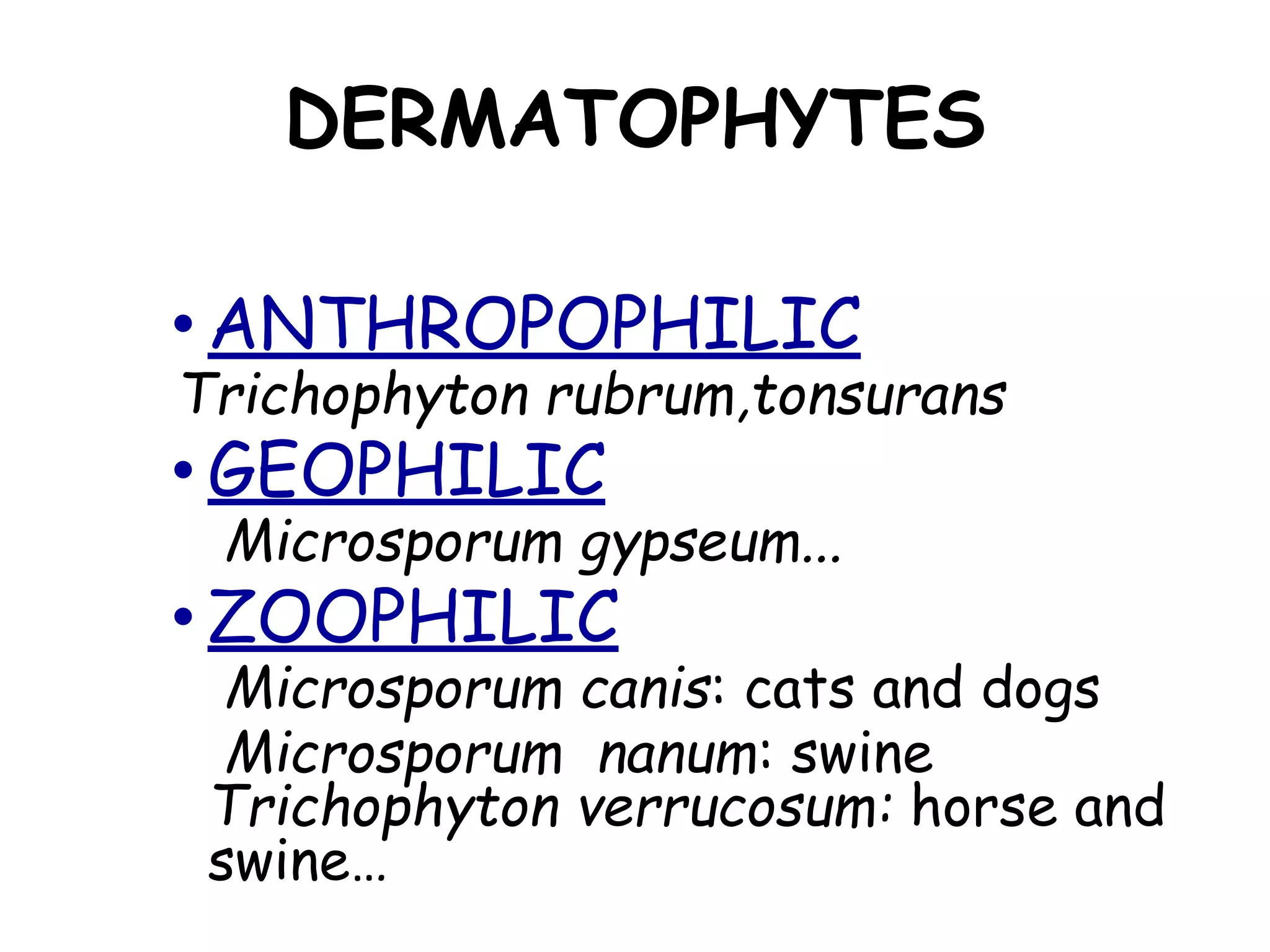 Superficial mycoses | PDF