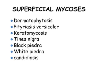 Superficial mycoses | PDF