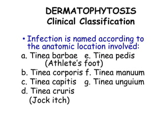 Superficial mycoses | PDF