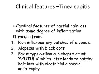 Superficial mycoses | PDF