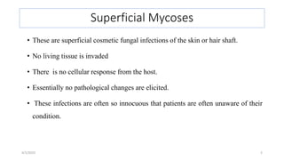 Superficial Mycoses.pptx