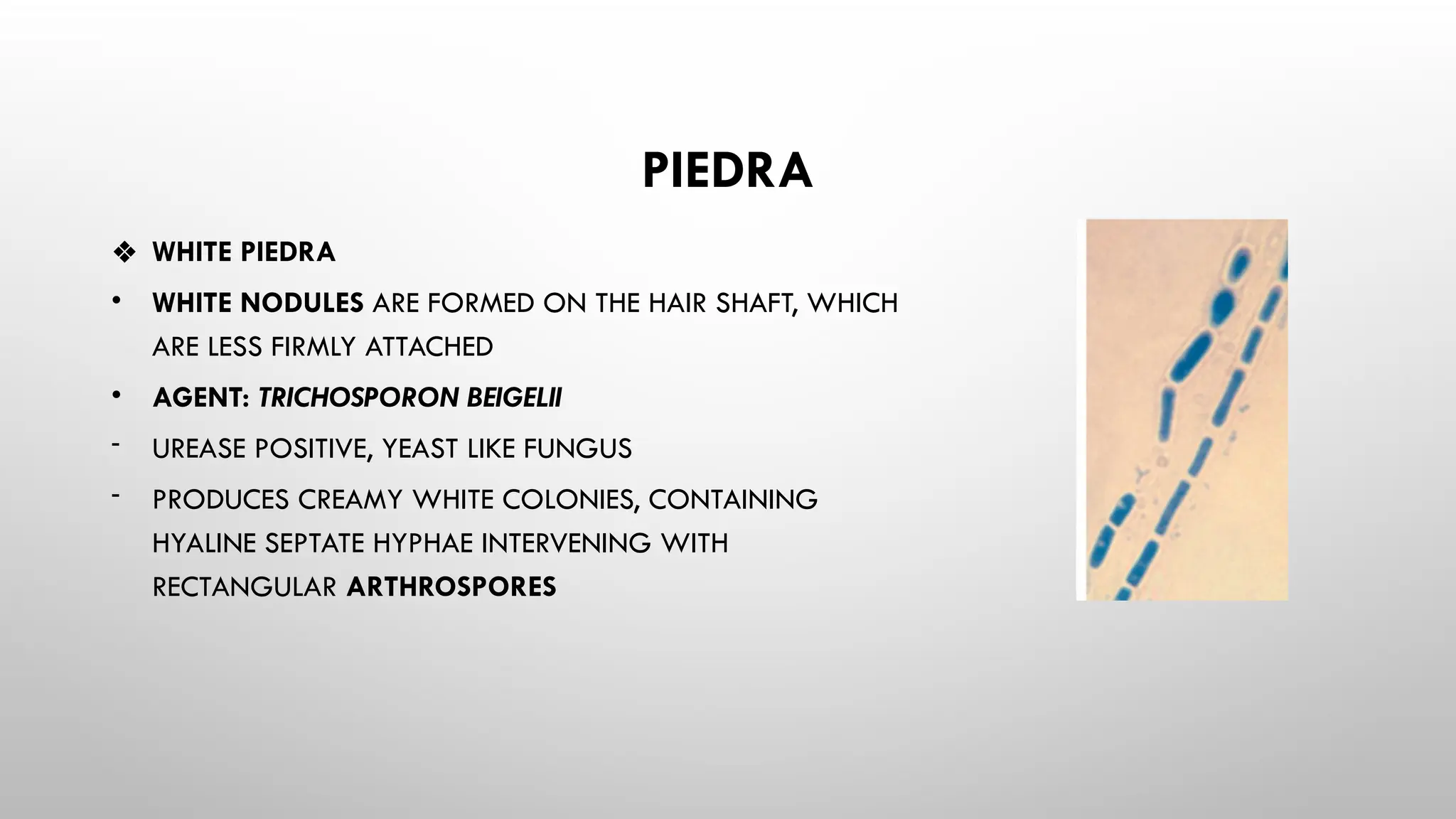 An overview of Superficial Mycoses.pptx