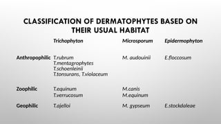 An overview of Superficial Mycoses.pptx