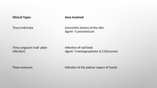 An overview of Superficial Mycoses.pptx