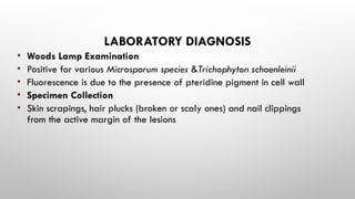 An overview of Superficial Mycoses.pptx