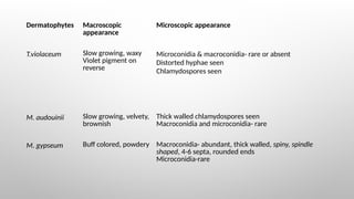 An overview of Superficial Mycoses.pptx
