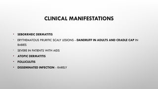 An overview of Superficial Mycoses.pptx