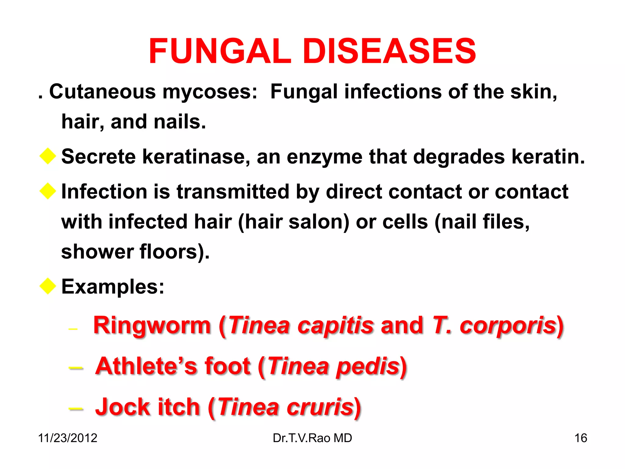 Superficial Fungal Infections | PPTX