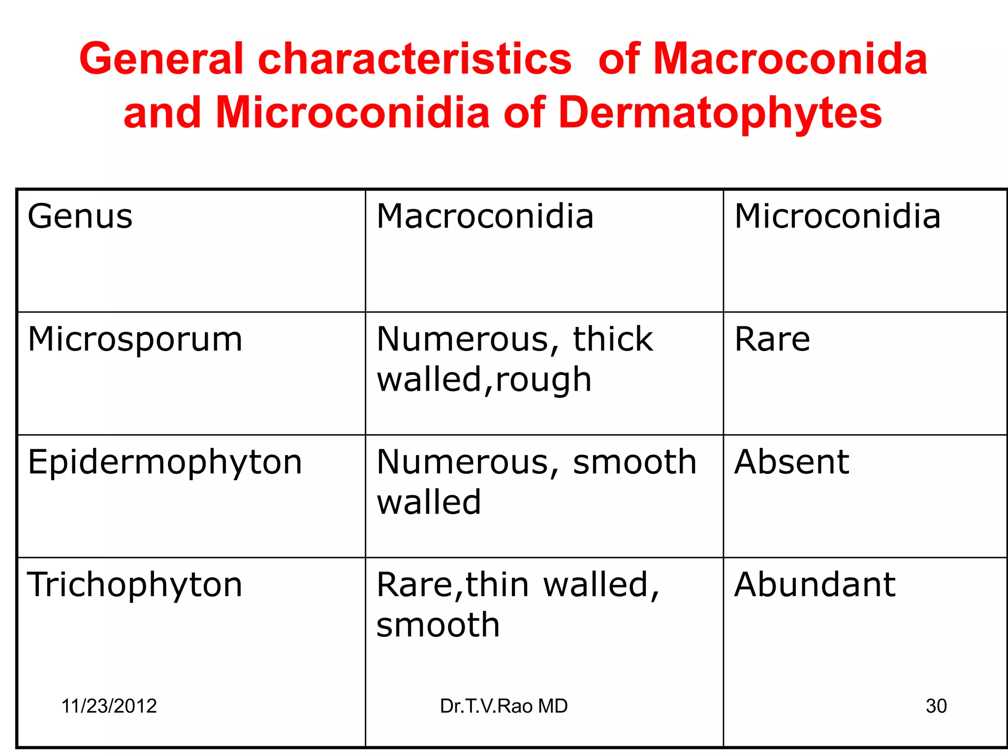 Superficial Fungal Infections | PPTX