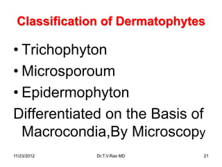 Superficial Fungal Infections | PPTX