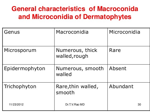 Superficial Fungal Infections