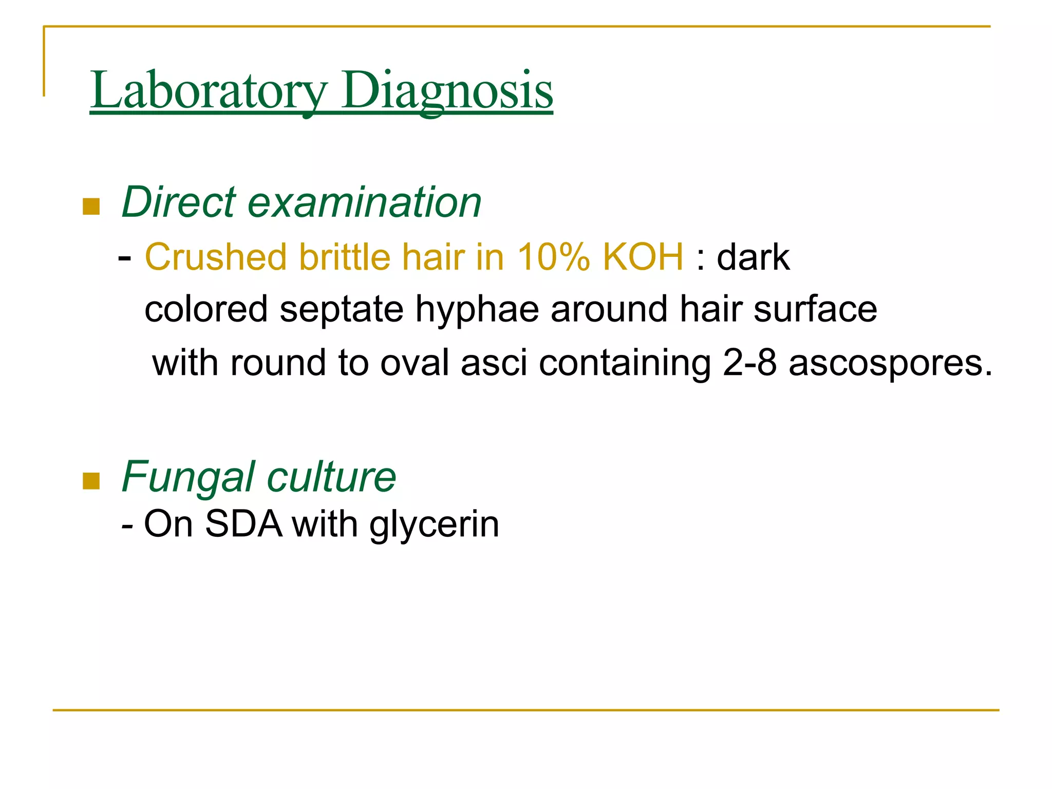 Superficial mycosis | PPTX