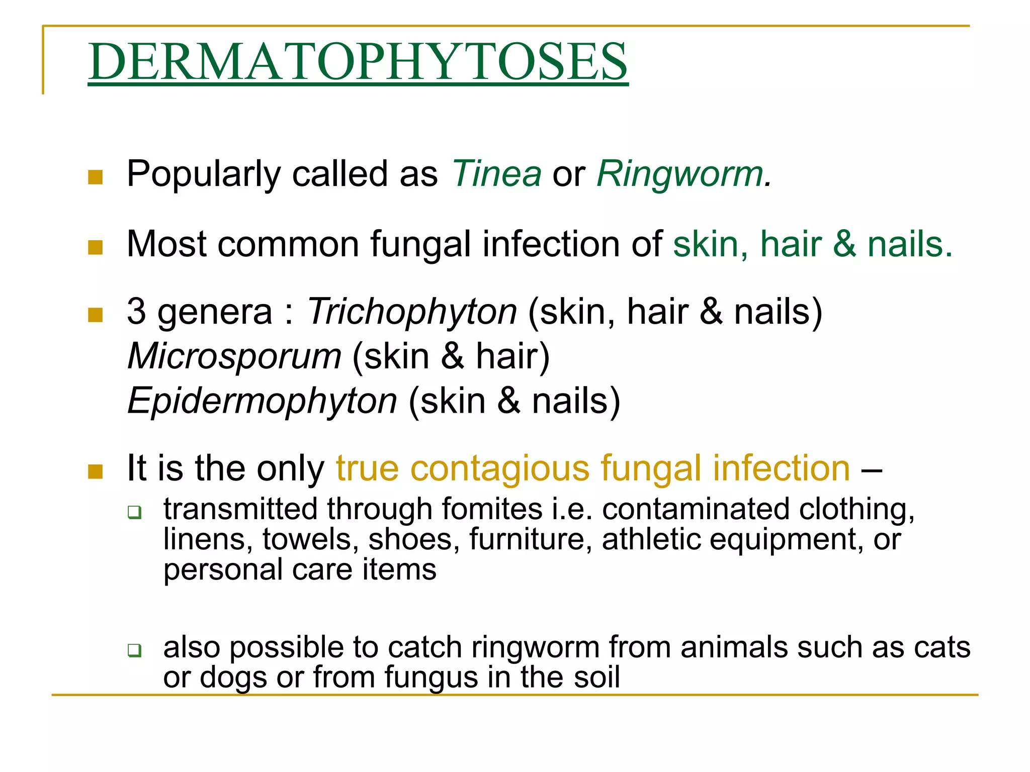 Superficial mycosis | PPTX