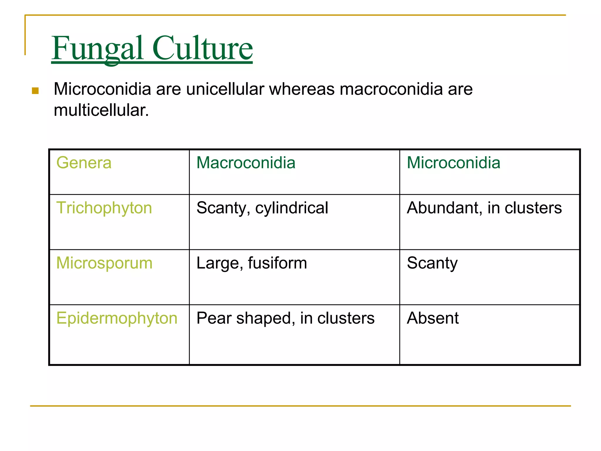 Superficial mycosis | PPTX