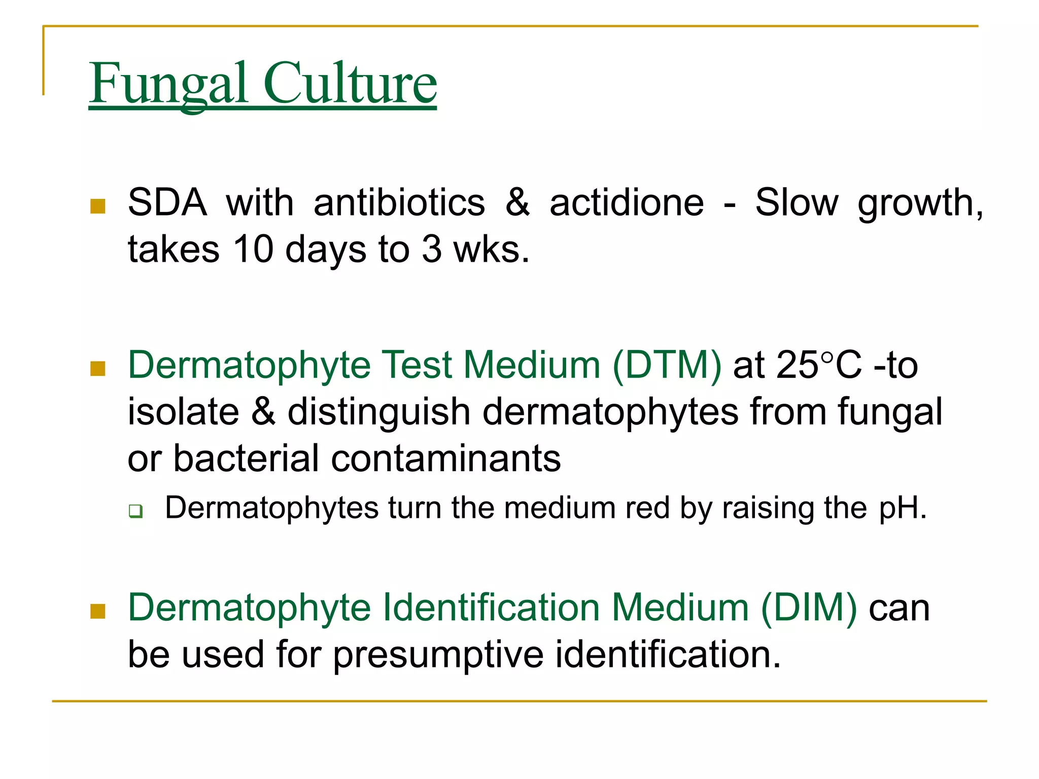 Superficial mycosis | PPTX