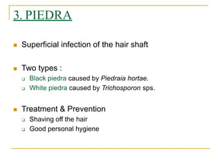 Superficial mycosis | PPTX