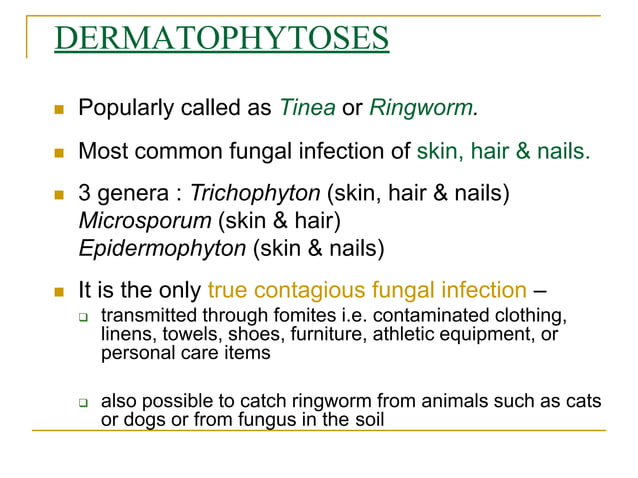 Superficial mycosis | PPTX | Skin and Dermatology | Diseases and Conditions