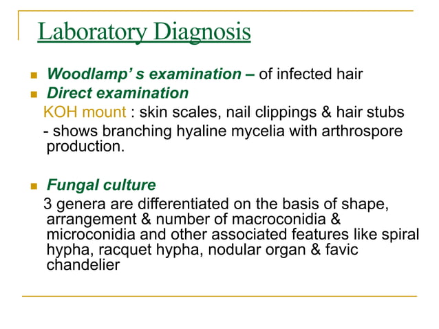 Superficial mycosis | PPTX | Skin and Dermatology | Diseases and Conditions