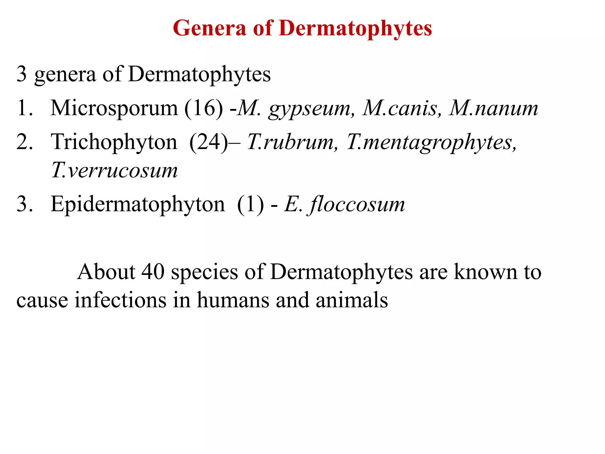 Superficial Mycosis.pptx