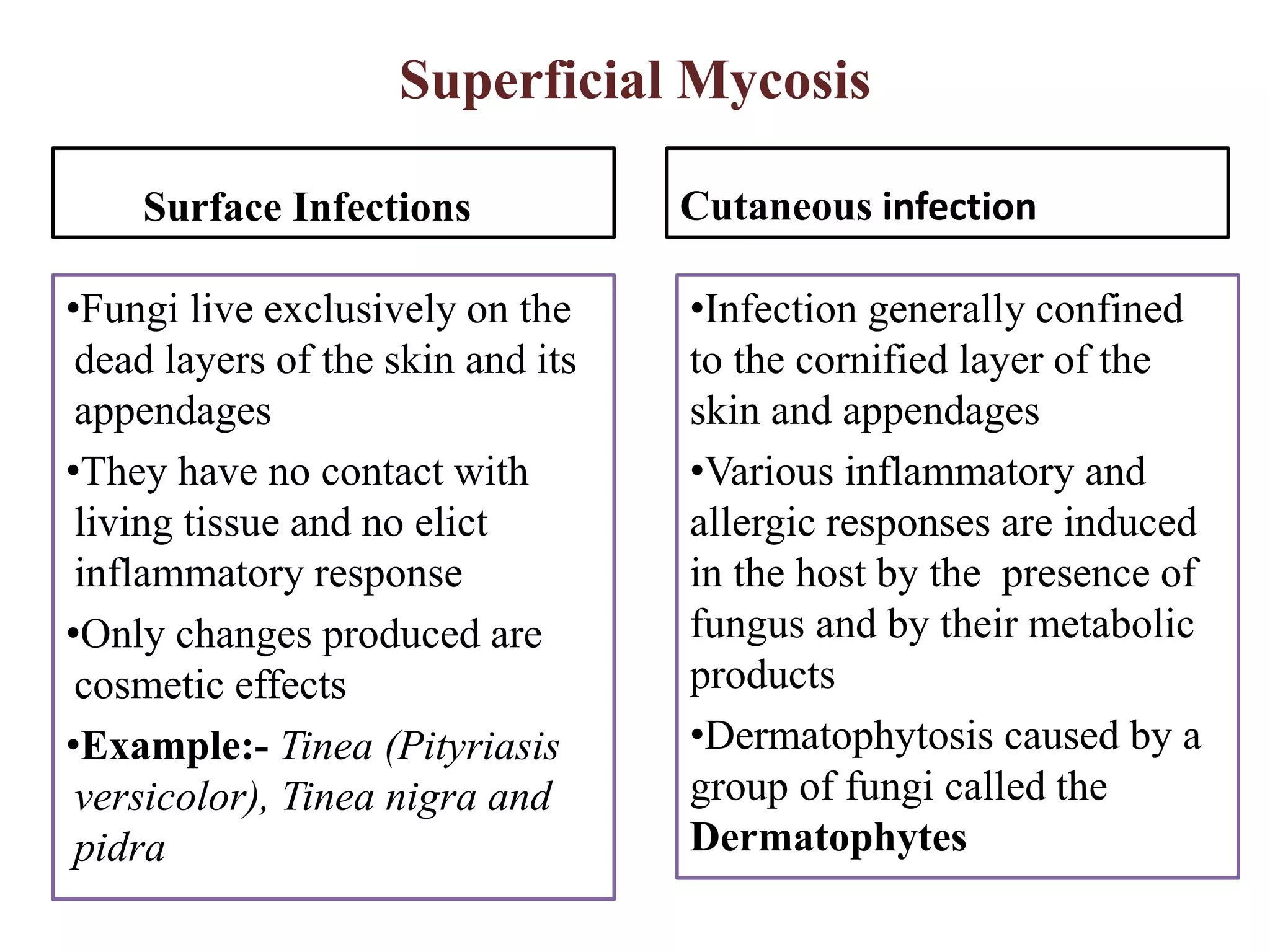 Superficial Mycosis.pptx