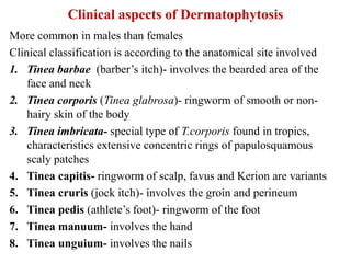 Superficial Mycosis.pptx