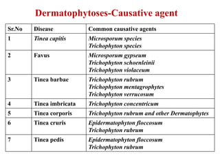 Superficial Mycosis.pptx