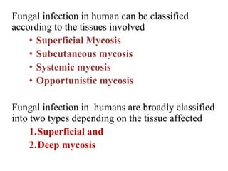 Superficial Mycosis.pptx