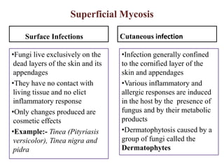 Superficial Mycosis.pptx