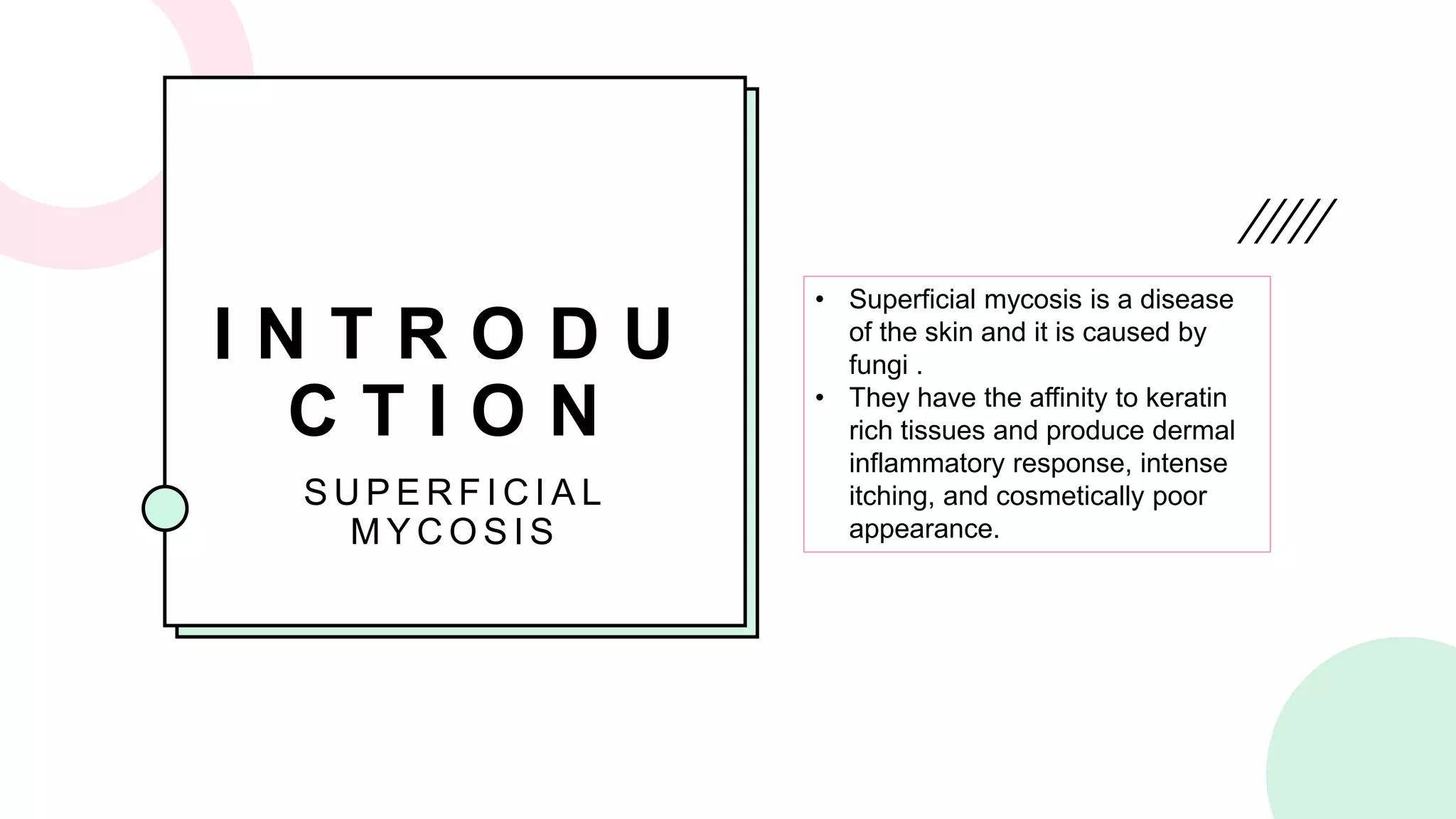 Superficial mycosis-4-1.pptx