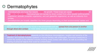 Superficial mycosis-4-1.pptx | Skin and Dermatology | Diseases and ...