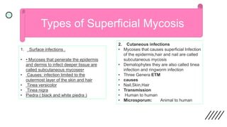 Superficial mycosis-4-1.pptx | Skin and Dermatology | Diseases and ...