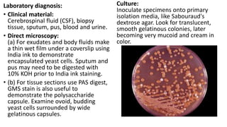 Superficial &Opportunistic infections.pptx