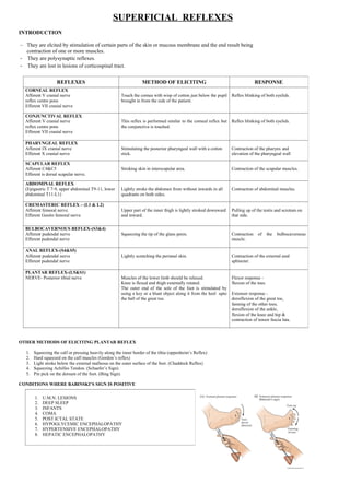 Superficial Abdominal Reflex