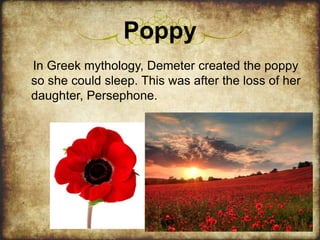 Superfoods and Greek Mythology- Third Junior High School of Corinth ...