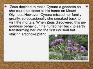Superfoods and Greek Mythology- Third Junior High School of Corinth ...