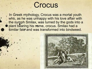Superfoods and Greek Mythology- Third Junior High School of Corinth ...