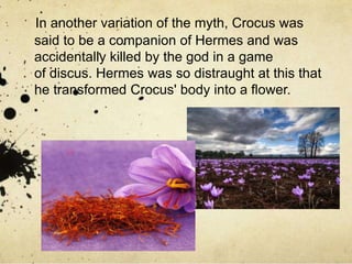 Superfoods and Greek Mythology- Third Junior High School of Corinth ...