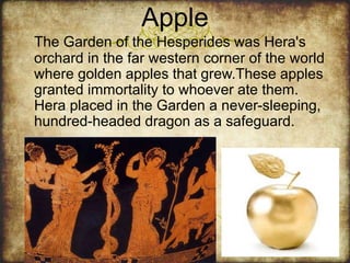 Apple Greek Mythology