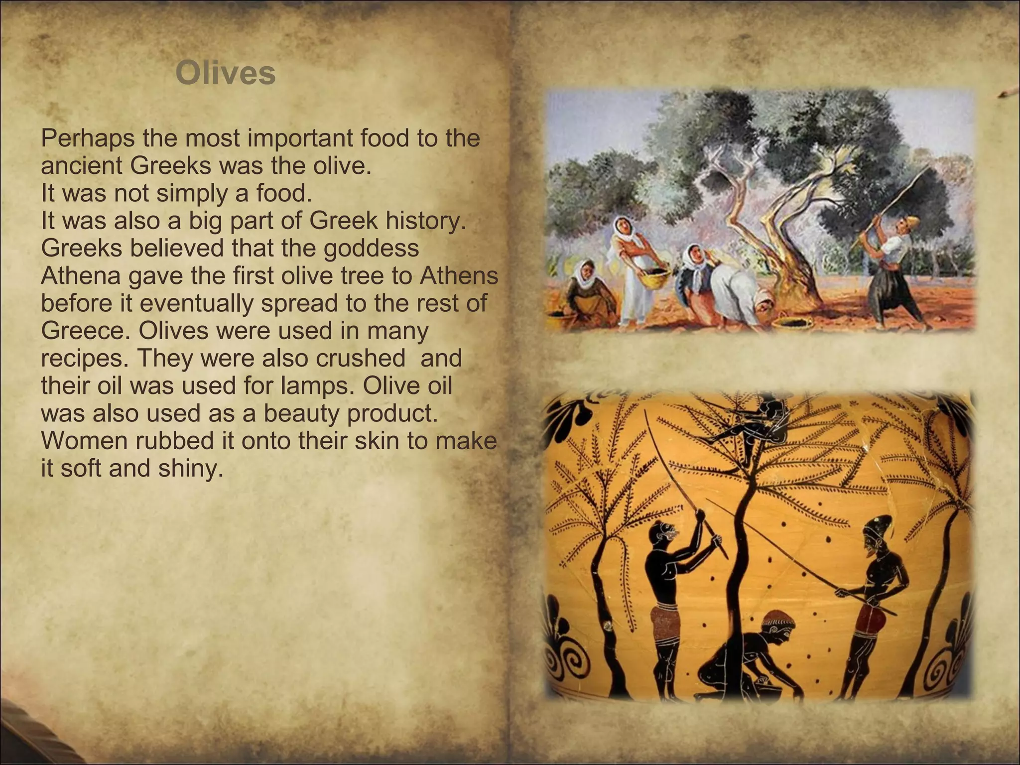 Superfoods in Ancient Greece | PPS