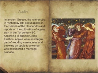 Superfoods in Ancient Greece | PPS