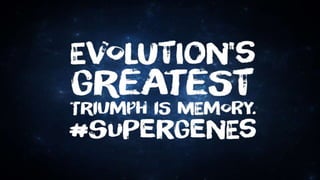 Supergenes | PPT