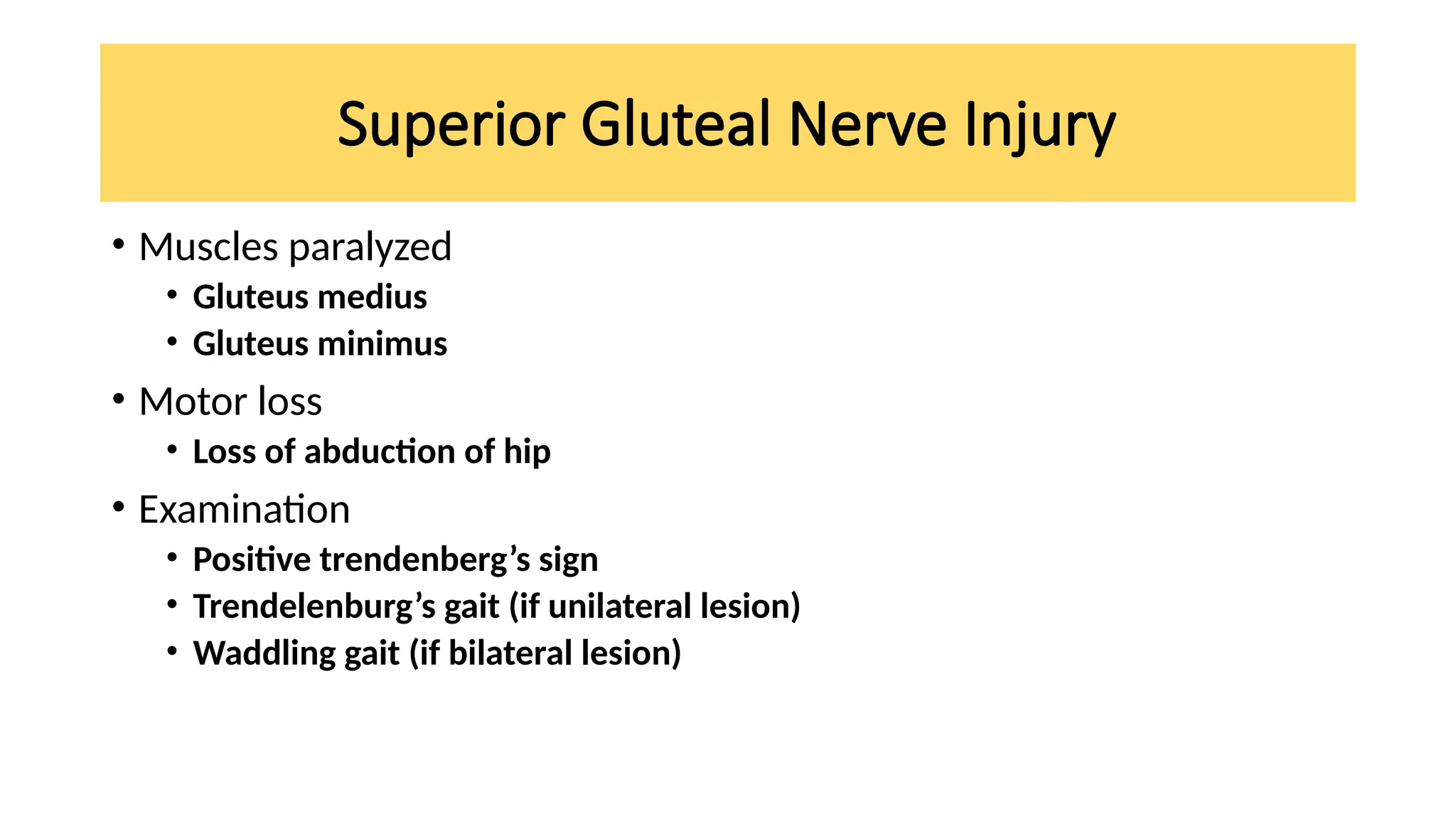Superior Gluteal Nerve Injury and innervation | PPT