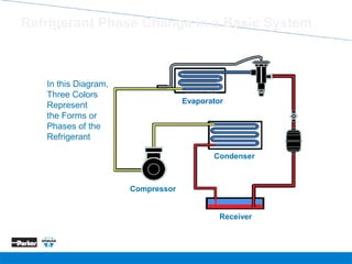 How To Use a P-T Chart | PPT
