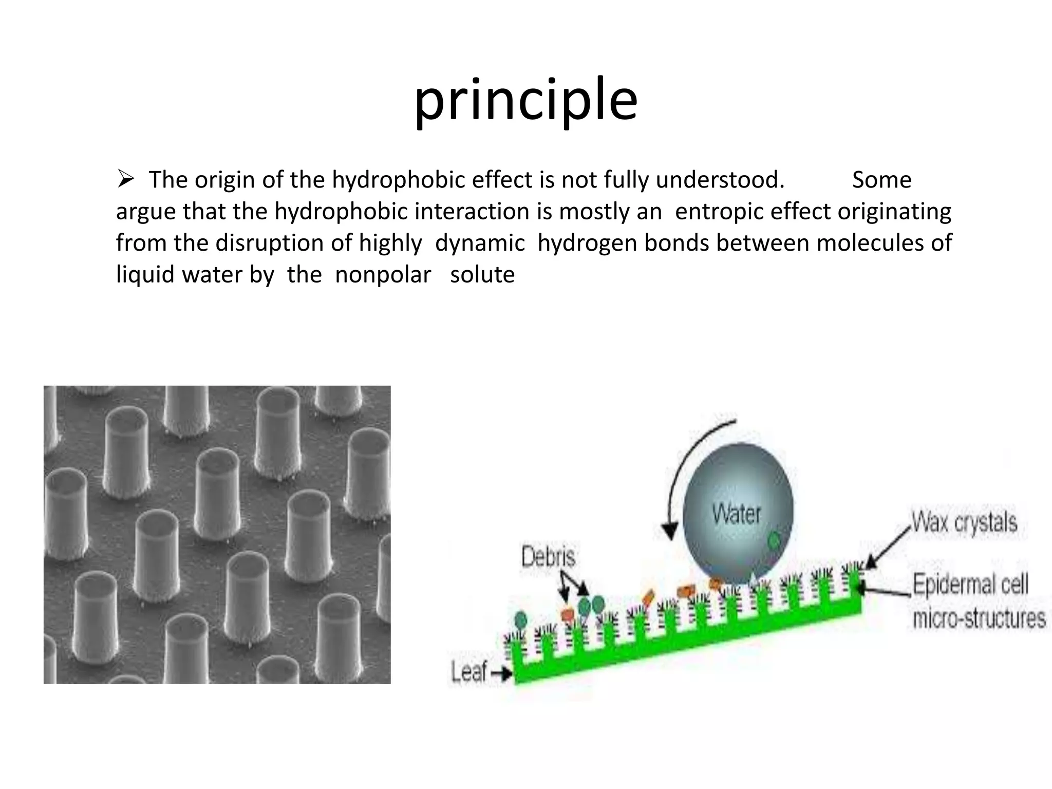 Super hydrophobic material | PPTX